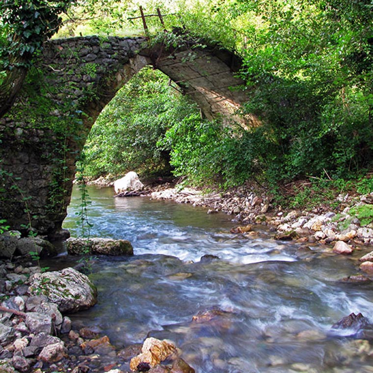 Turistička organizacija Podgorina – posetite i upoznajte lepote opštine ...